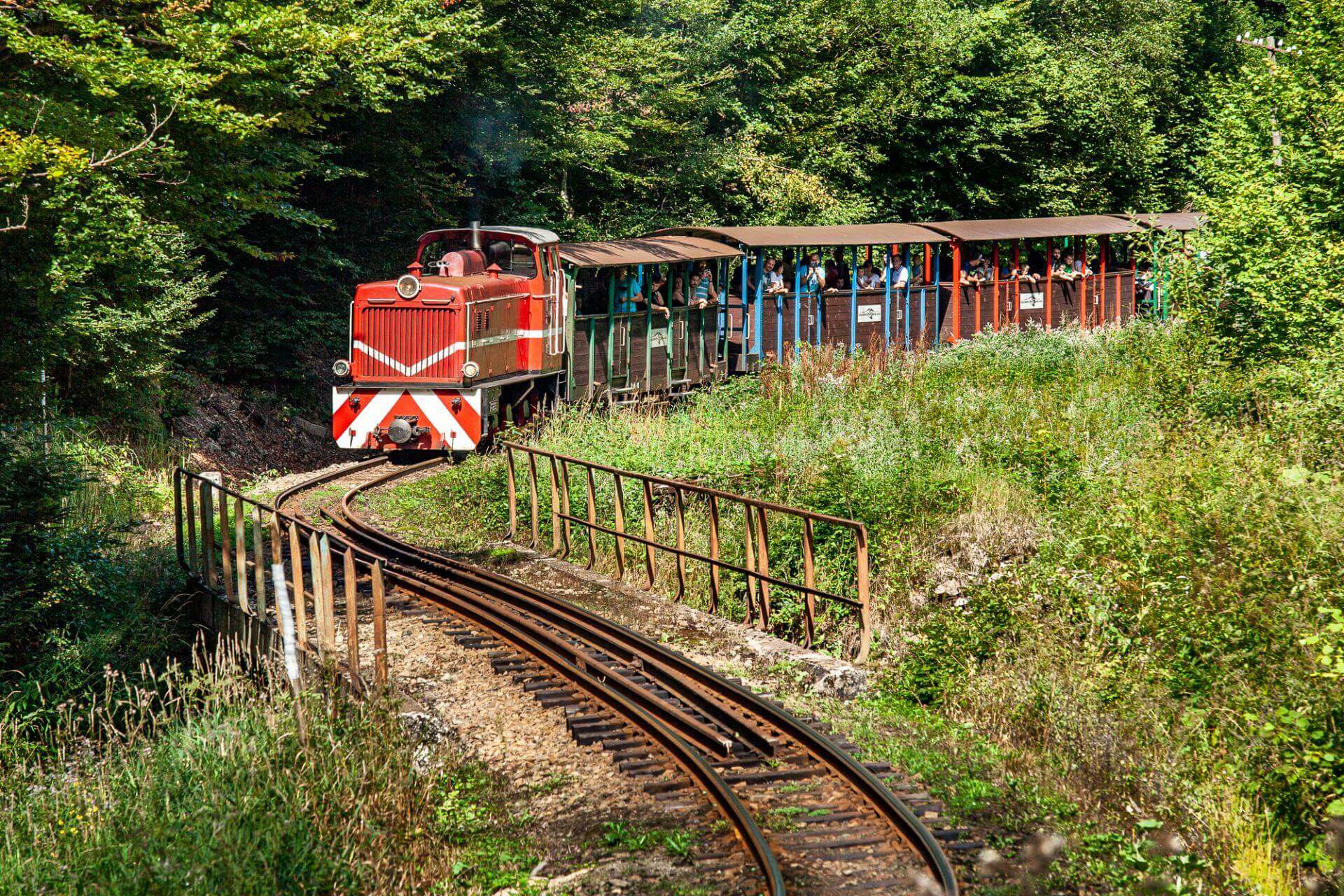 Kolej Leśna Bieszczady | Trasa, cennik, kontakt