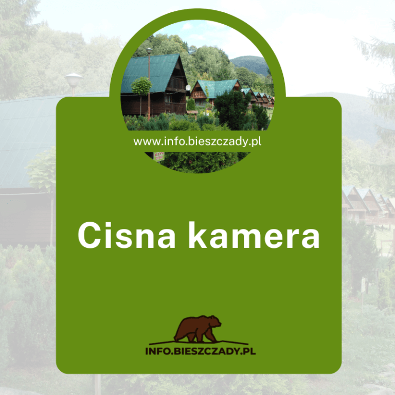 Cisna kamera online | Cisna internetowe kamery na żywo